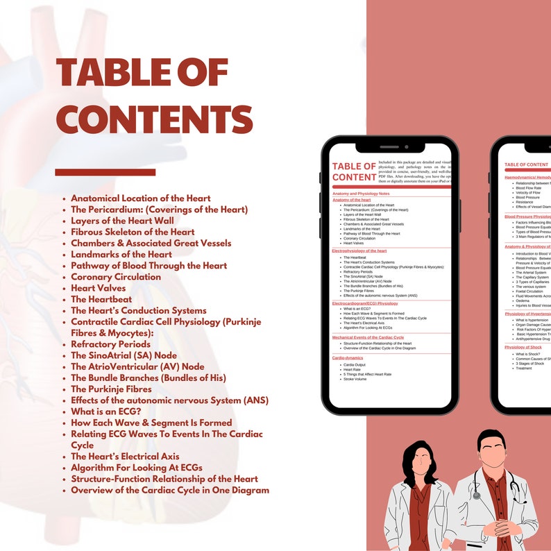 Circulatory Cardiovascular System Free Flashcard and Stickers ...