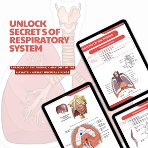 Respiratory System Bundle With Flashcard and Stickers Nursing Guide ...