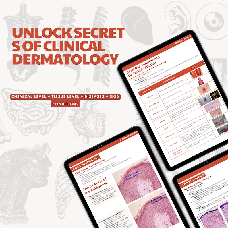 Clinical Dermatology Bundle With Planner and Stickers, Dermatology ...