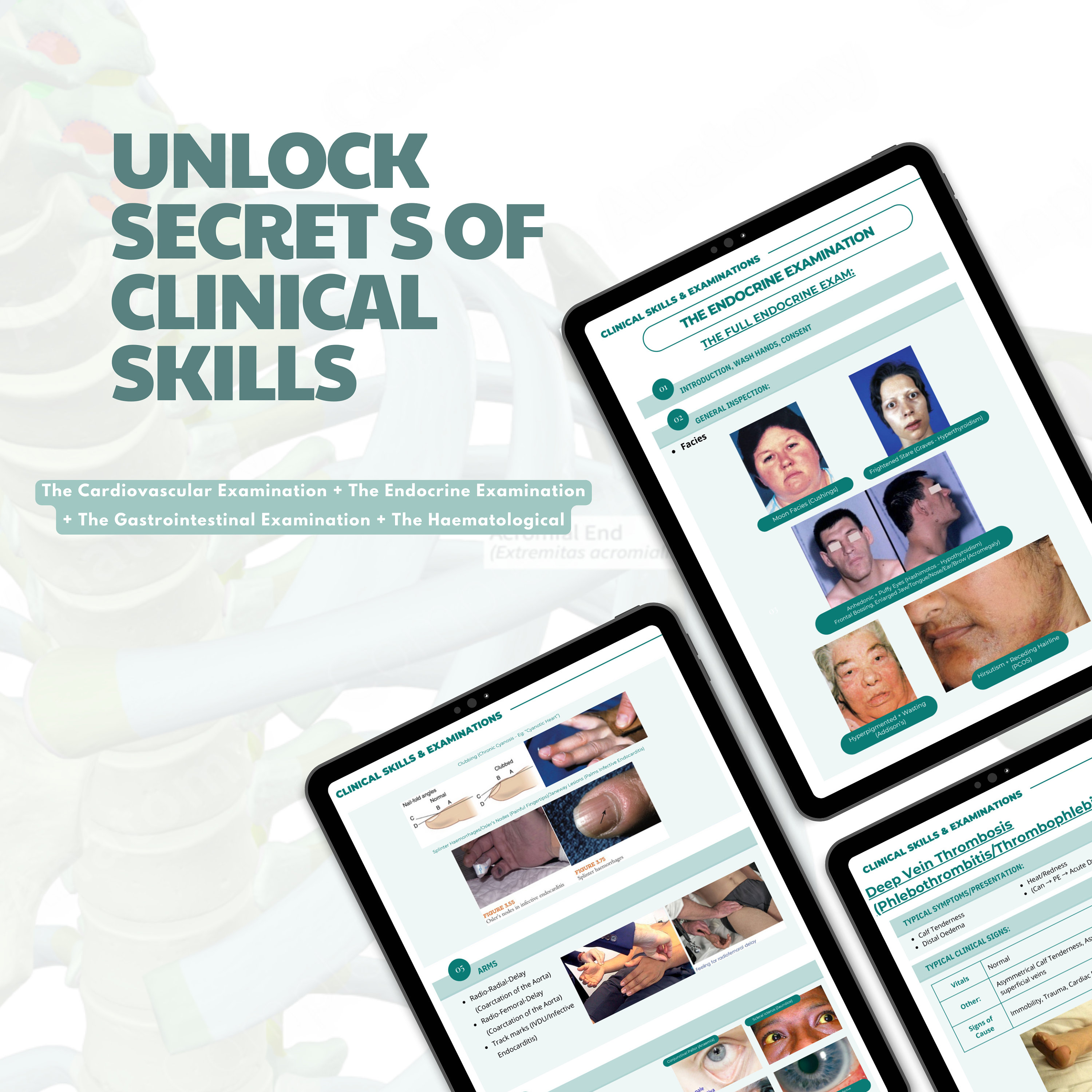 Clinical Skills Examination Bundle With Flashcards and Stickers Nursing ...