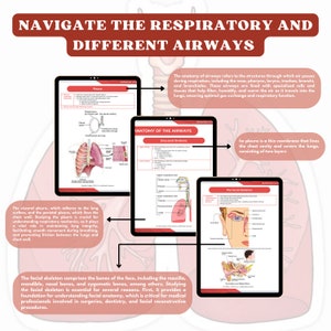 Respiratory System Bundle With Flashcard and Stickers Nursing Guide ...