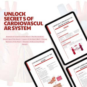 Circulatory Cardiovascular System Free Flashcard and Stickers ...