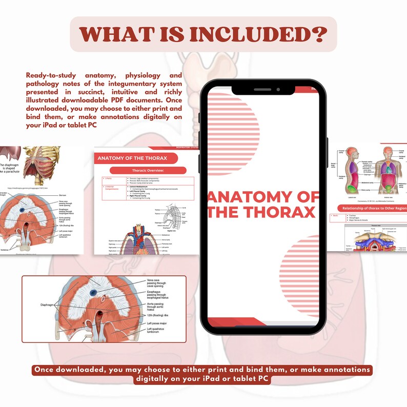 Respiratory System Bundle With Flashcard and Stickers Nursing Guide ...