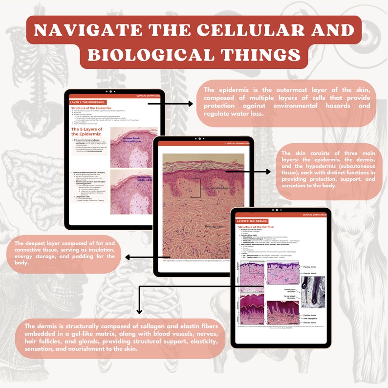 Clinical Dermatology Bundle With Planner and Stickers, Dermatology ...