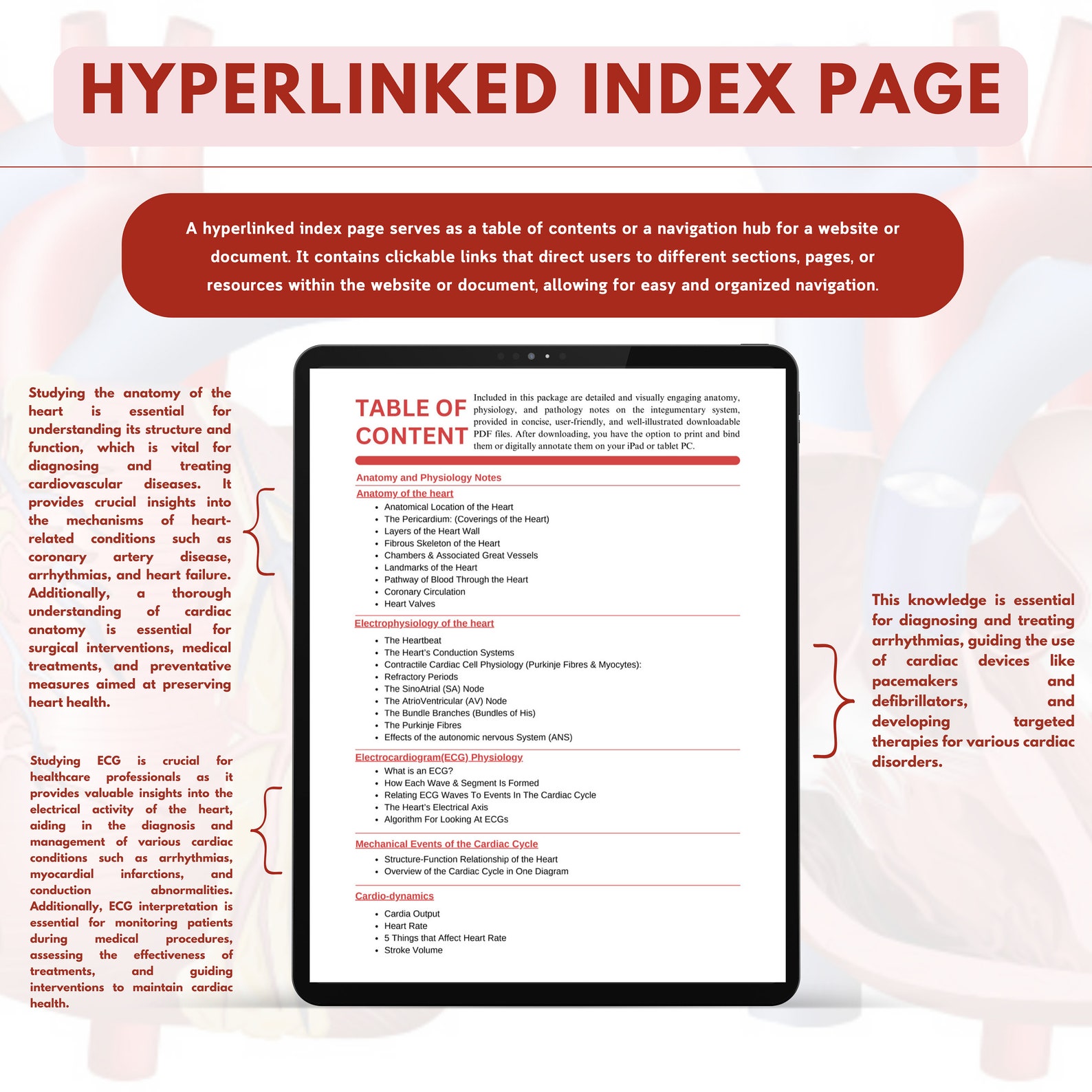 Circulatory Cardiovascular System Free Flashcard and Stickers ...
