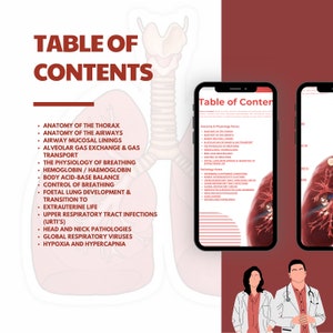 Respiratory System Bundle With Flashcard and Stickers Nursing Guide ...