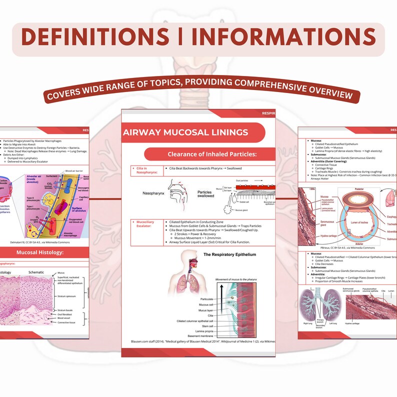 Respiratory System Bundle With Flashcard and Stickers Nursing Guide ...