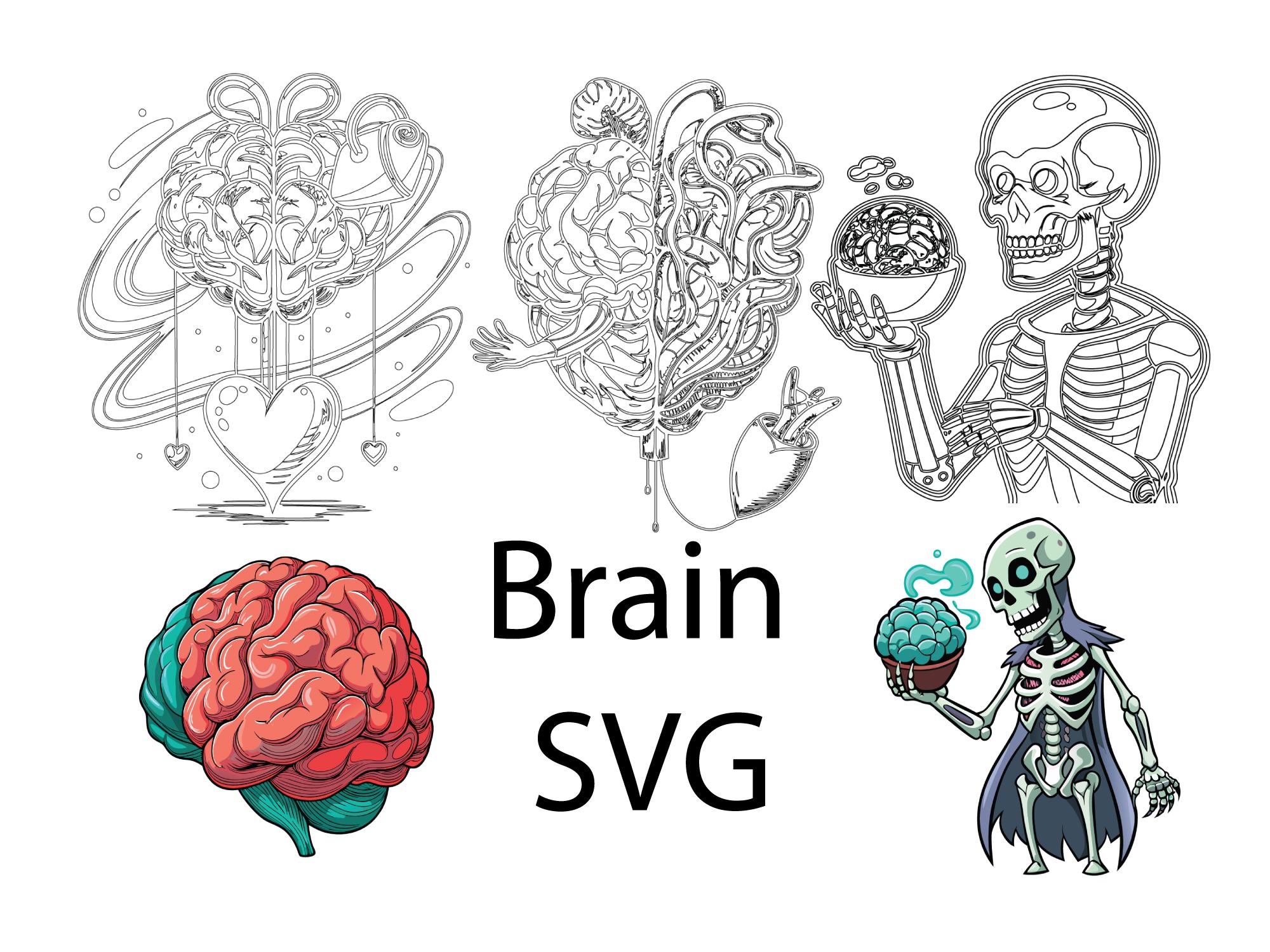 Brain Clip Art, Human Brain Svg, Brain Svg Bundle, Brain Clipart, Human ...