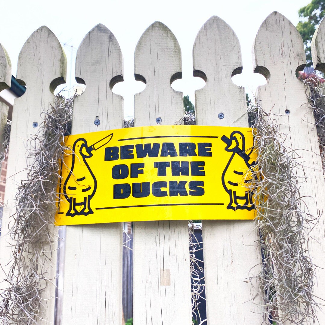 Beware of the Ducks Aluminium Sign - Etsy