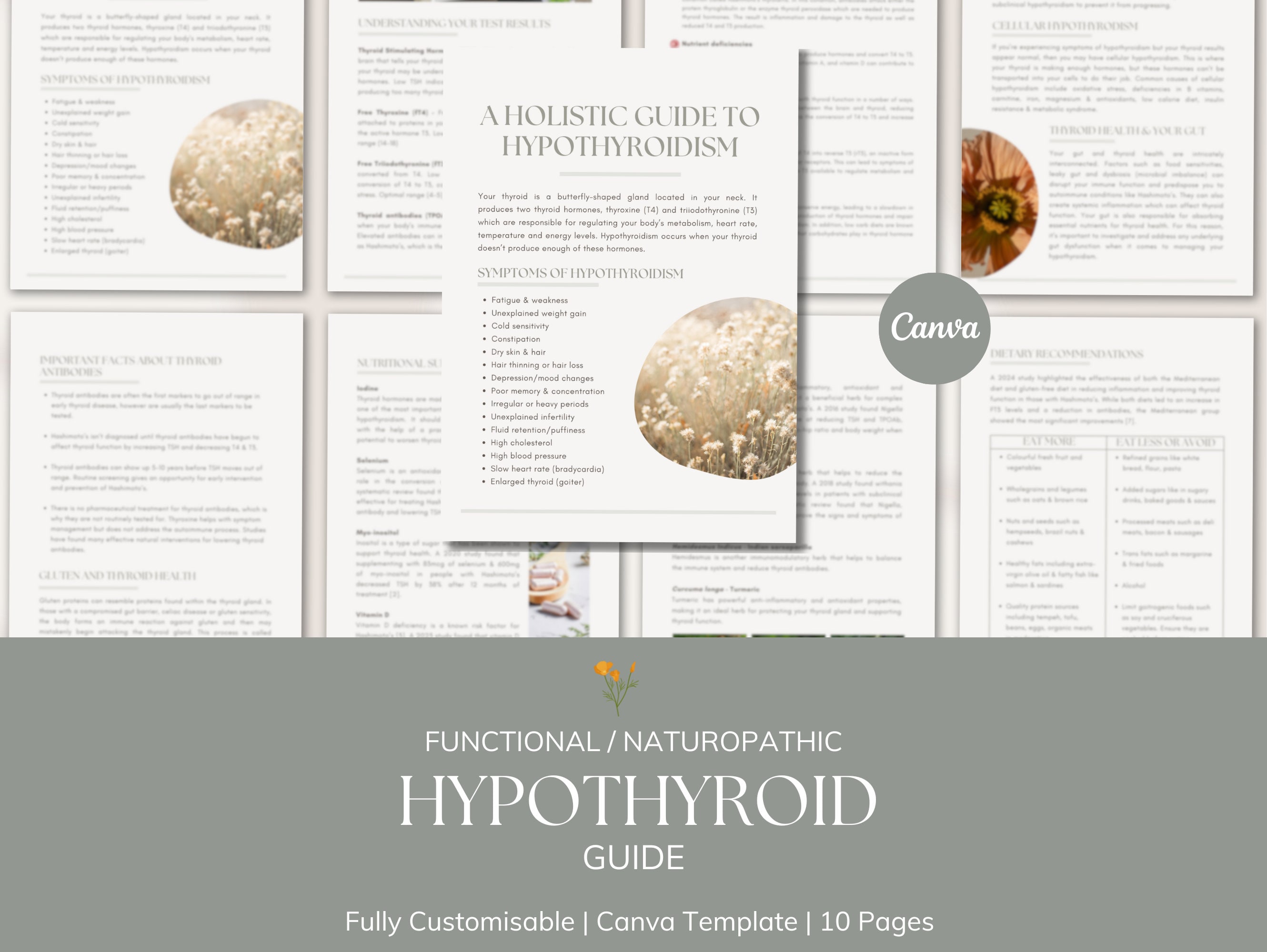 Holistic Hypothyroid Guide | Patient Handout | Editable | Canva ...