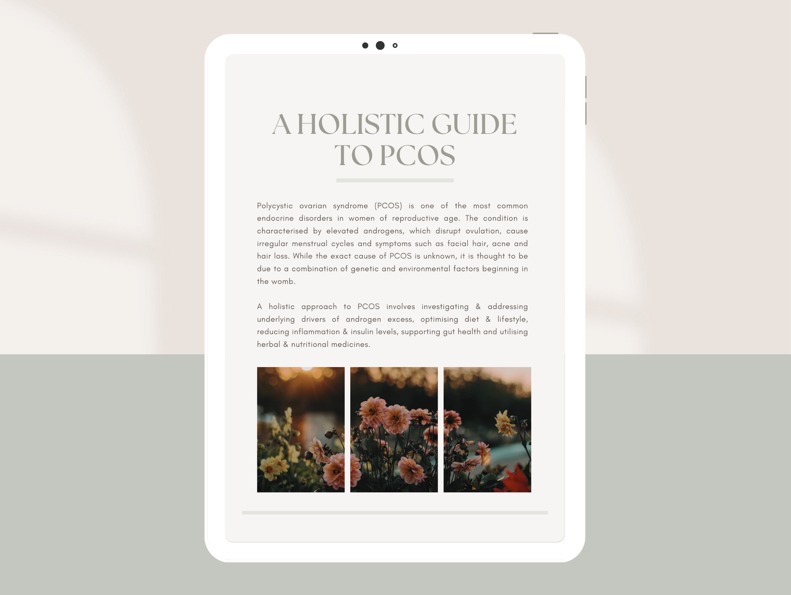 Holistic PCOS Guide | Editable | Canva Template | for Naturopaths ...