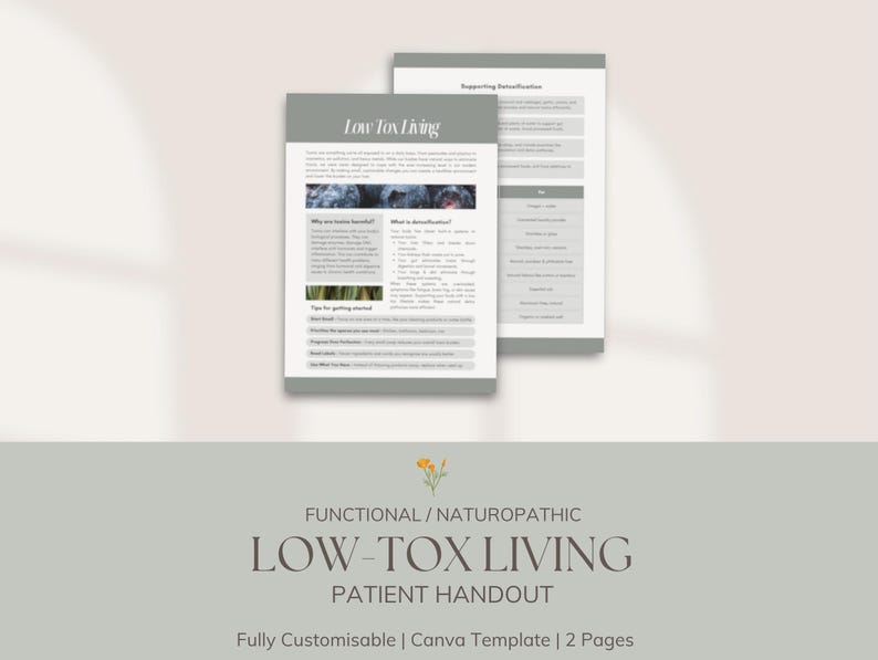Low-tox Living Patient Handout Canva Template, for Naturopaths ...