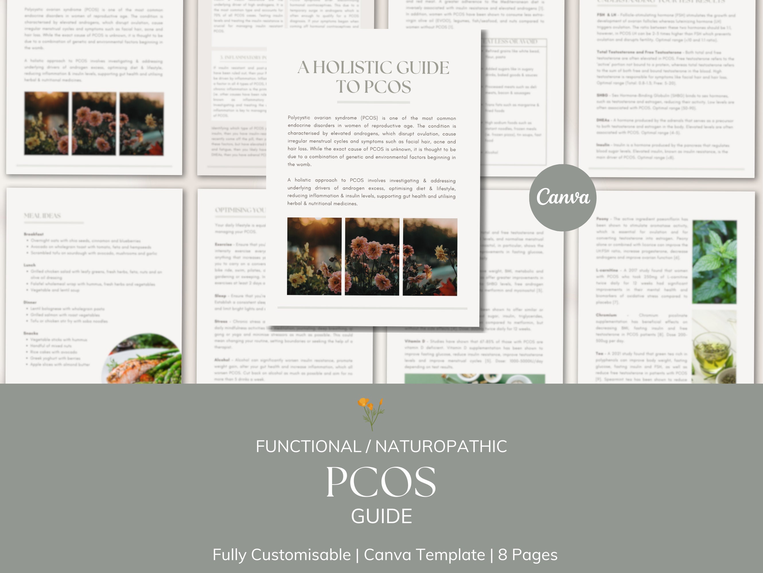 Holistic PCOS Guide | Editable | Canva Template | for Naturopaths ...