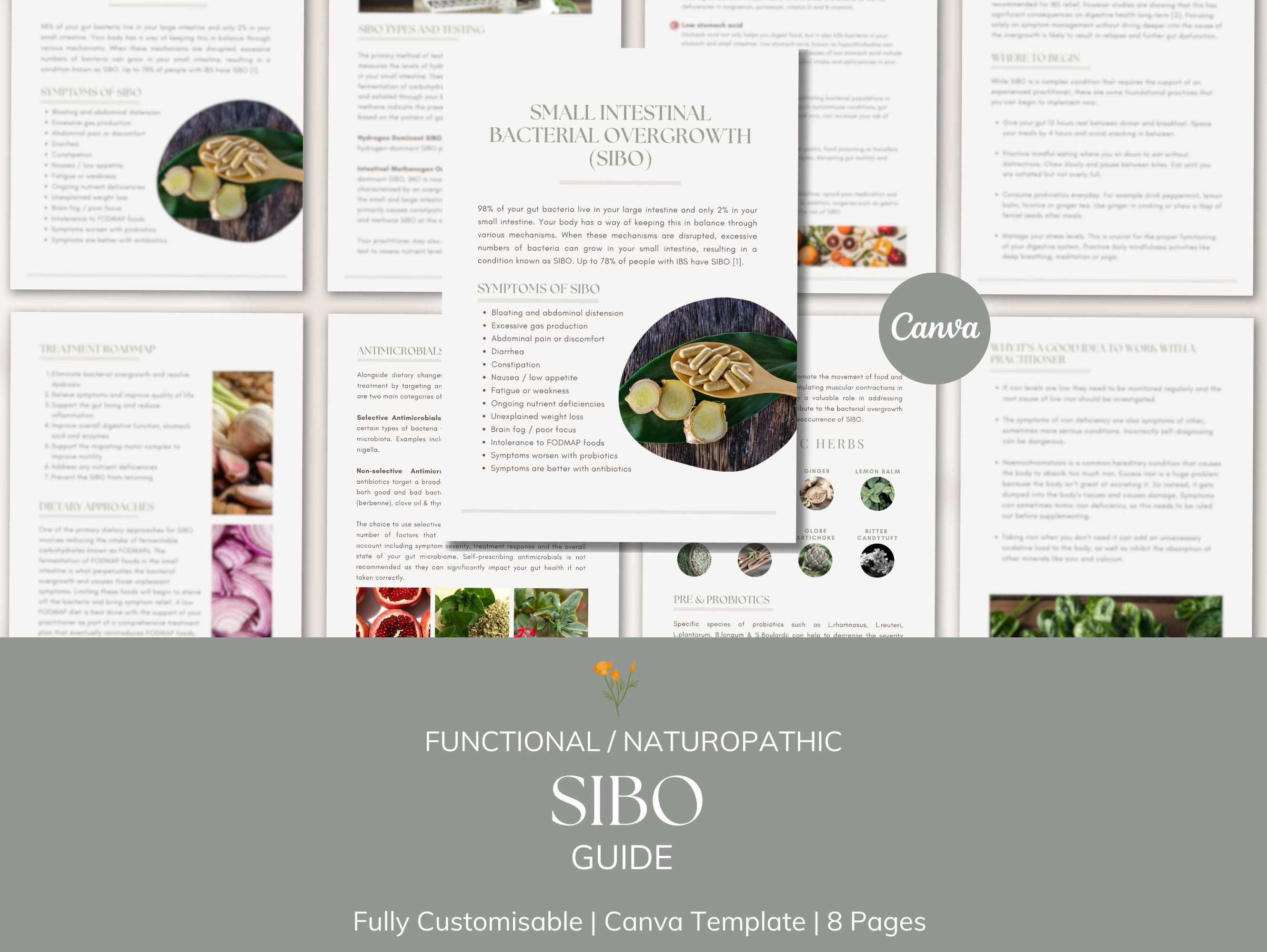 Holistic SIBO Guide | Editable | Canva Template | for Naturopaths ...