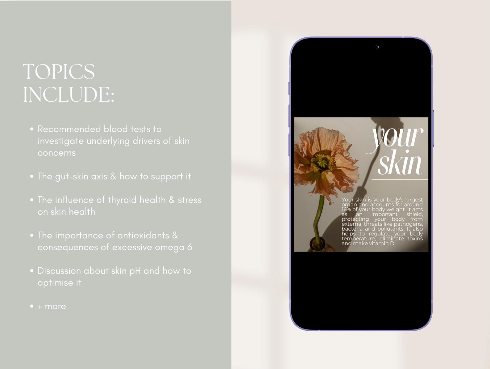 Skin Health Social Media Posts: Naturopath Nutritionist Canva Template ...