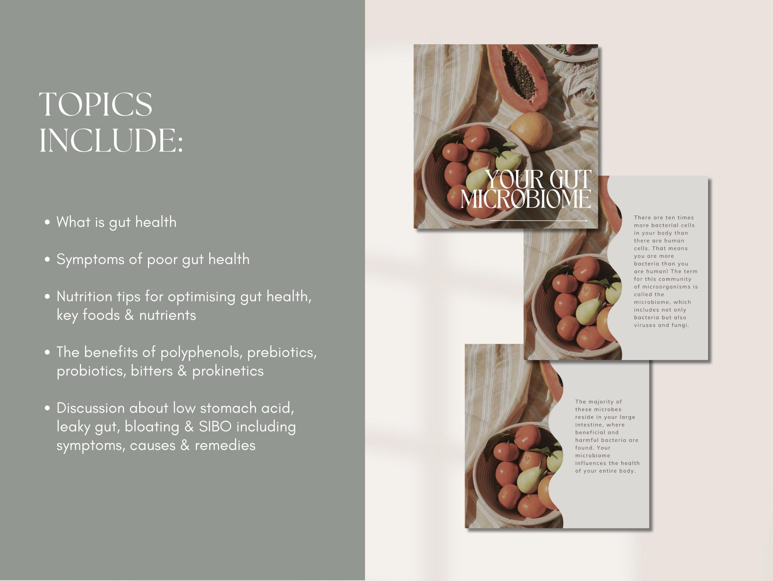 Functional Gut Health Social Media Posts Aesthetic Evidence-based Canva ...