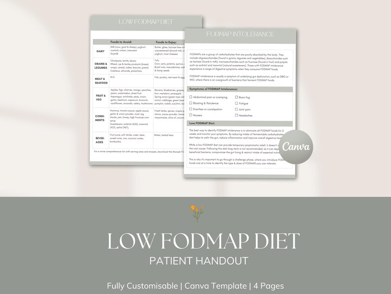 Low FODMAP Elimination Diet Plan | Canva Template | for Naturopaths ...
