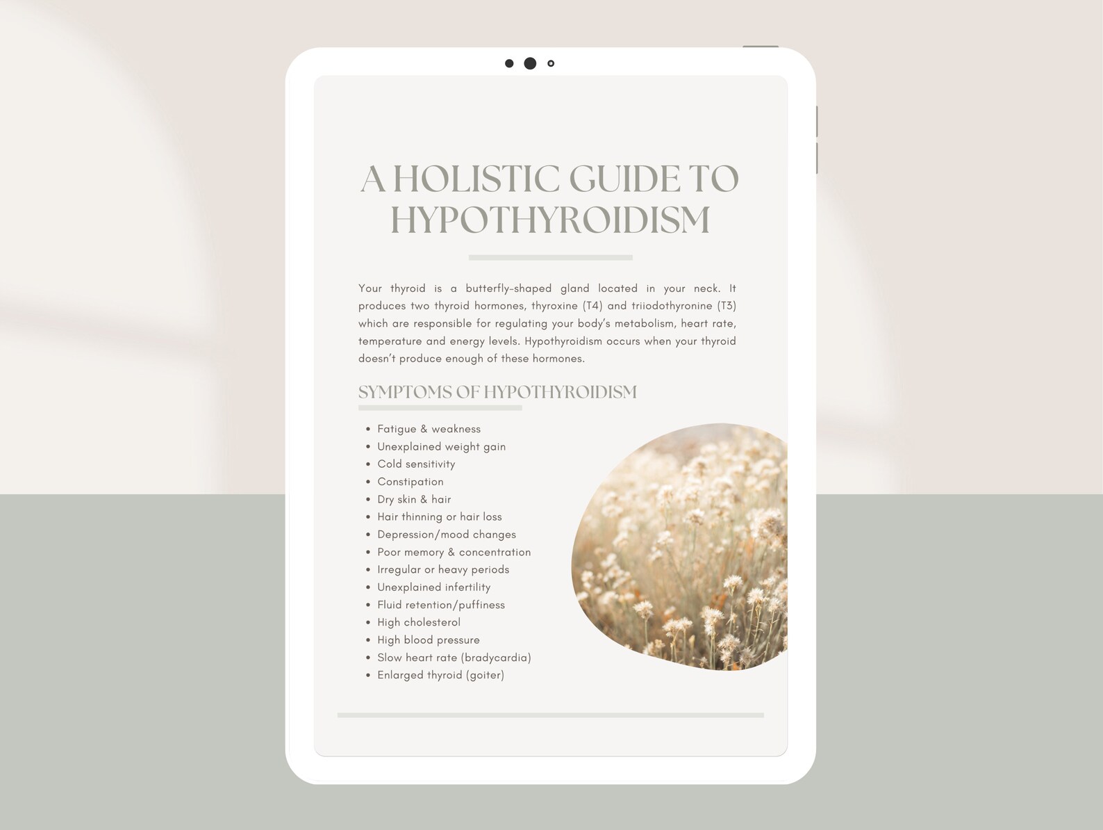 Holistic Hypothyroid Guide | Patient Handout | Editable | Canva ...