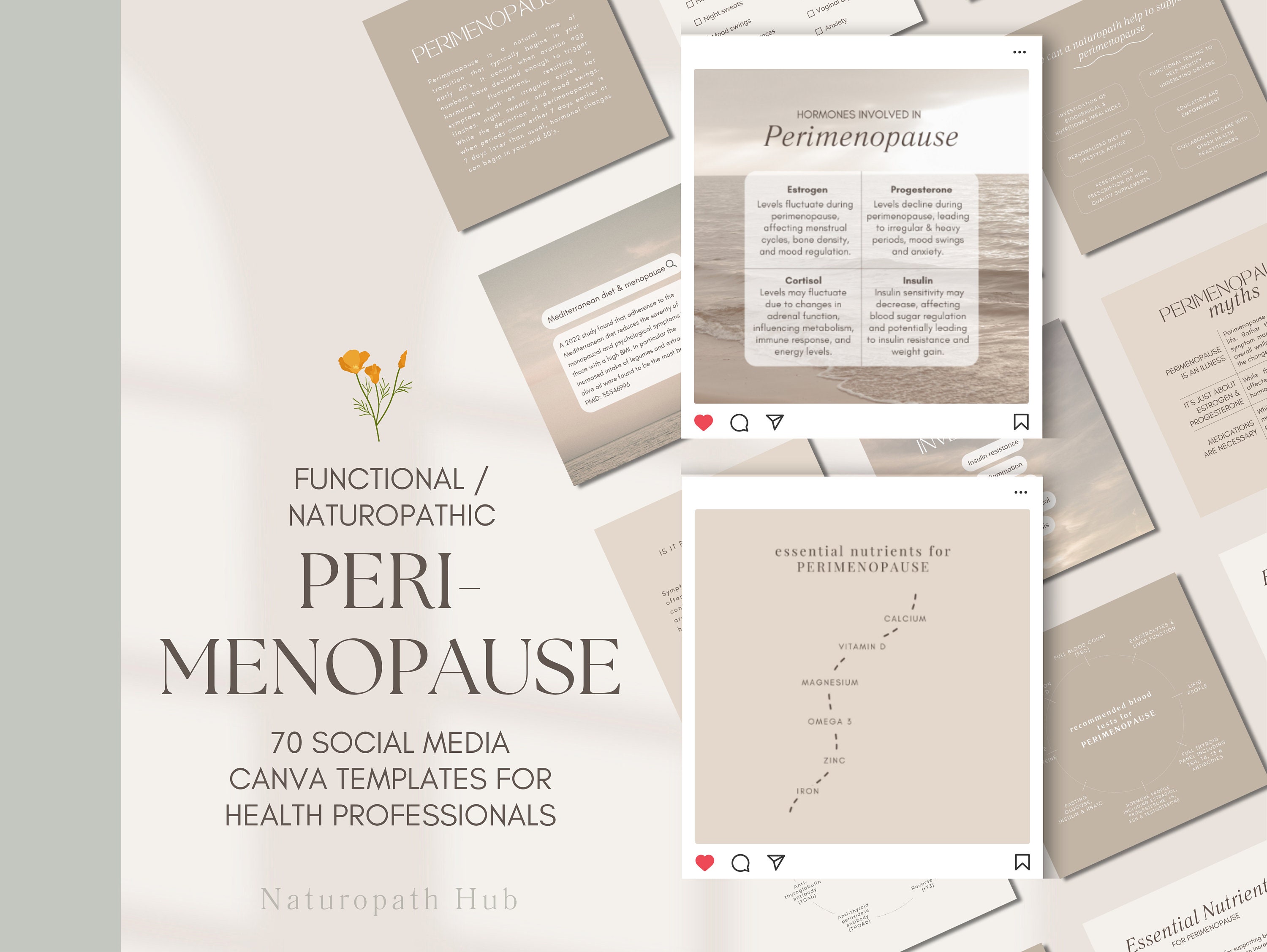Perimenopause Social Media / Instagram Posts | 70 Educational Posts ...