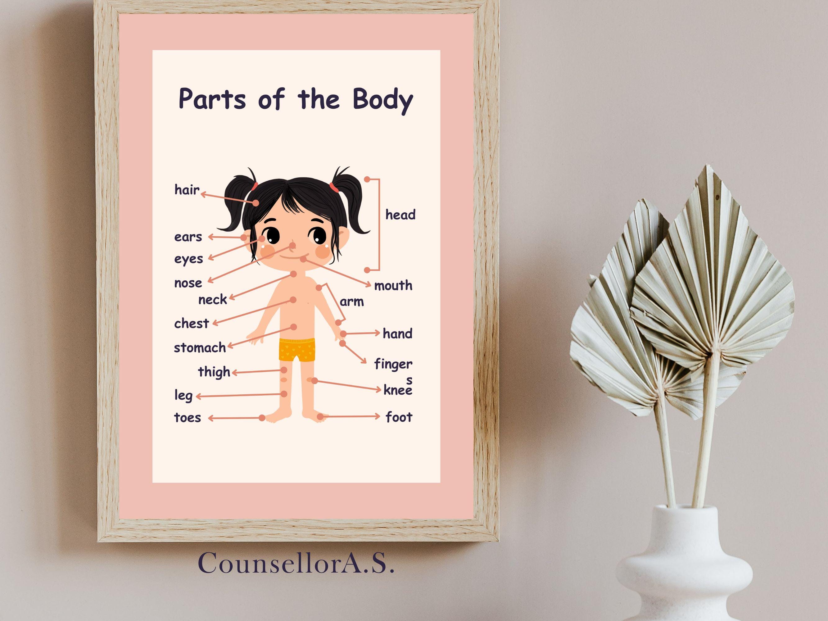 Parts of the Body, Educational Poster for Children, PRINTABLE Wall Art ...