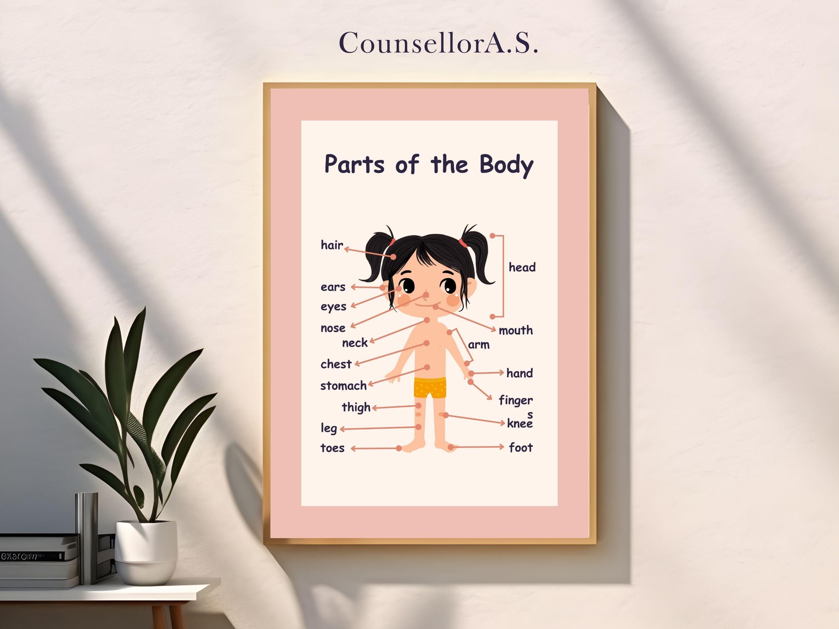 Parts of the Body, Educational Poster for Children, PRINTABLE Wall Art ...