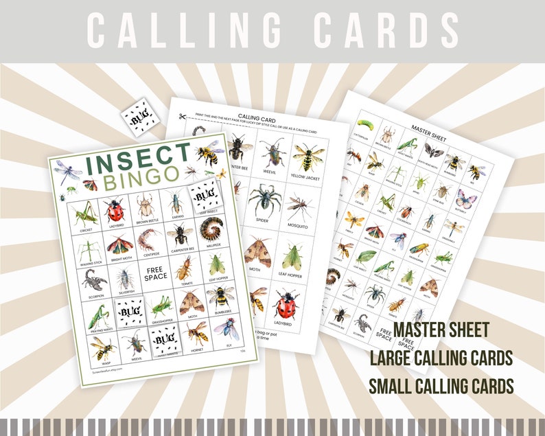 Insect Bingo Birthday Party Game: Printable Kids Animal Activity (PDF ...