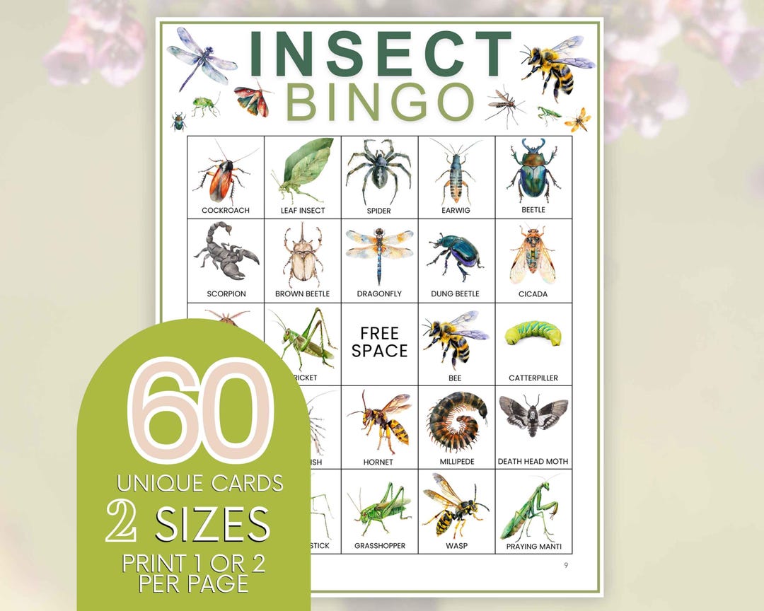 Insect Bingo Game: Printable Kids Birthday Party Activity (PDF) - Etsy