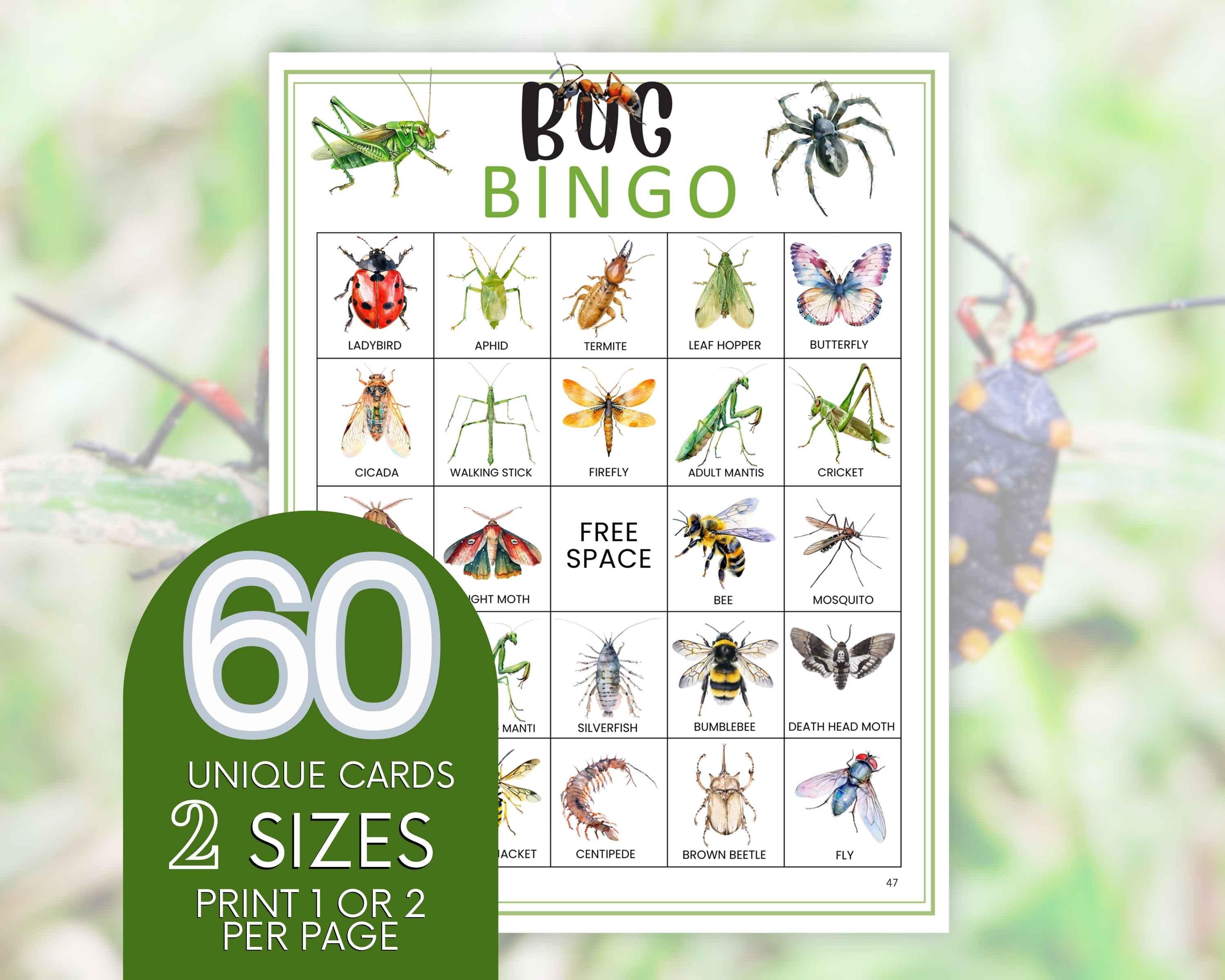 Bug Bingo Printable Game, Insect Creepy Crawlies Party Idea, Instant ...