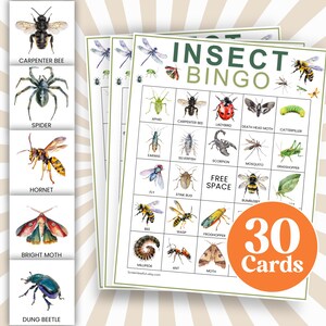 Insect Bingo Birthday Party Game, Printable Animal Kids Activity, Bug ...
