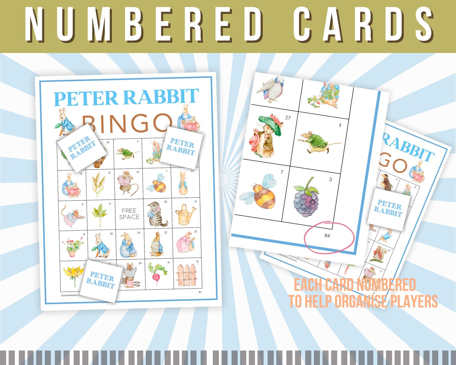 Peter Rabbit Classroom Activity Game Peter Rabbit Baby Shower Bingo ...