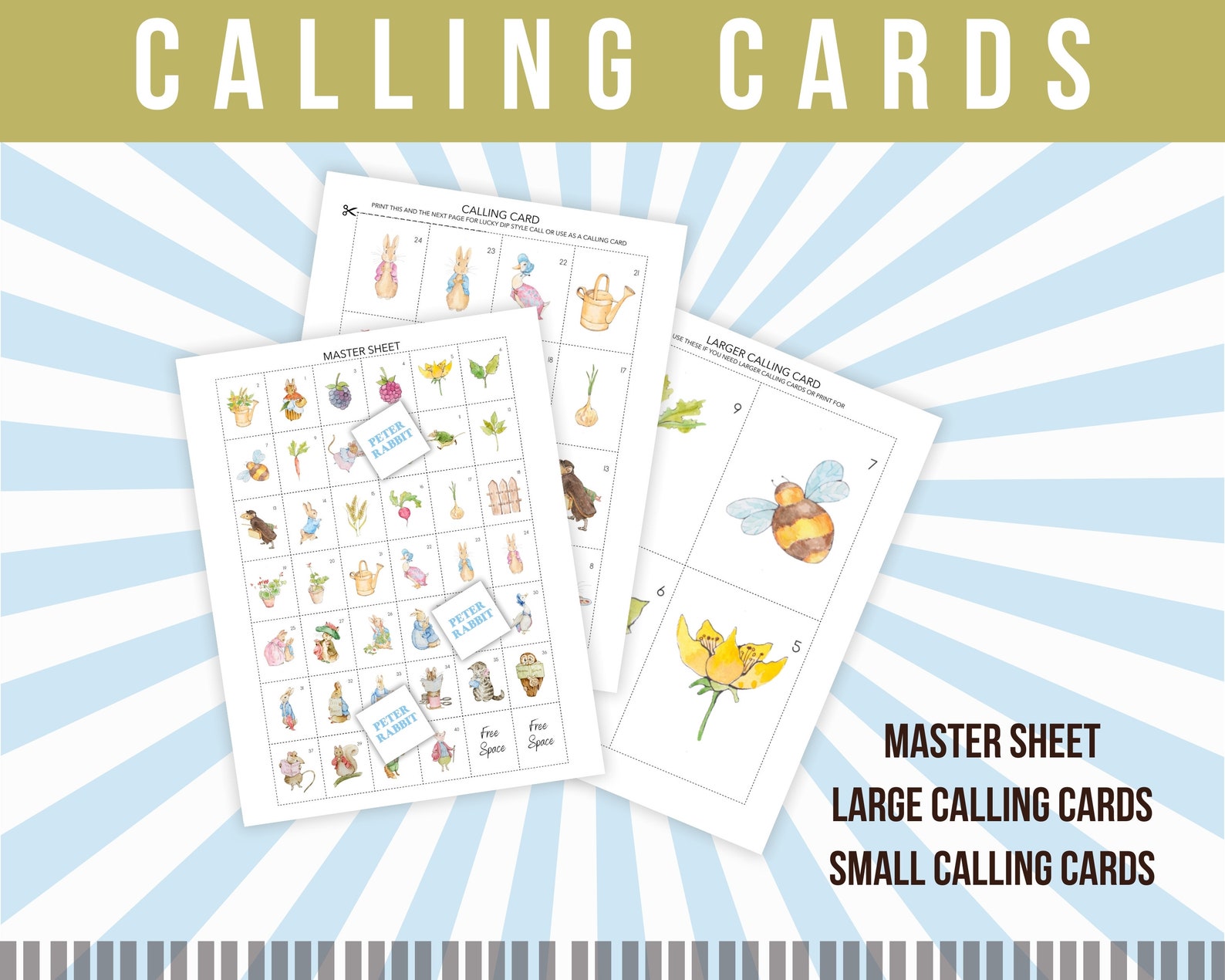 Peter Rabbit Classroom Activity Game Peter Rabbit Baby Shower Bingo ...