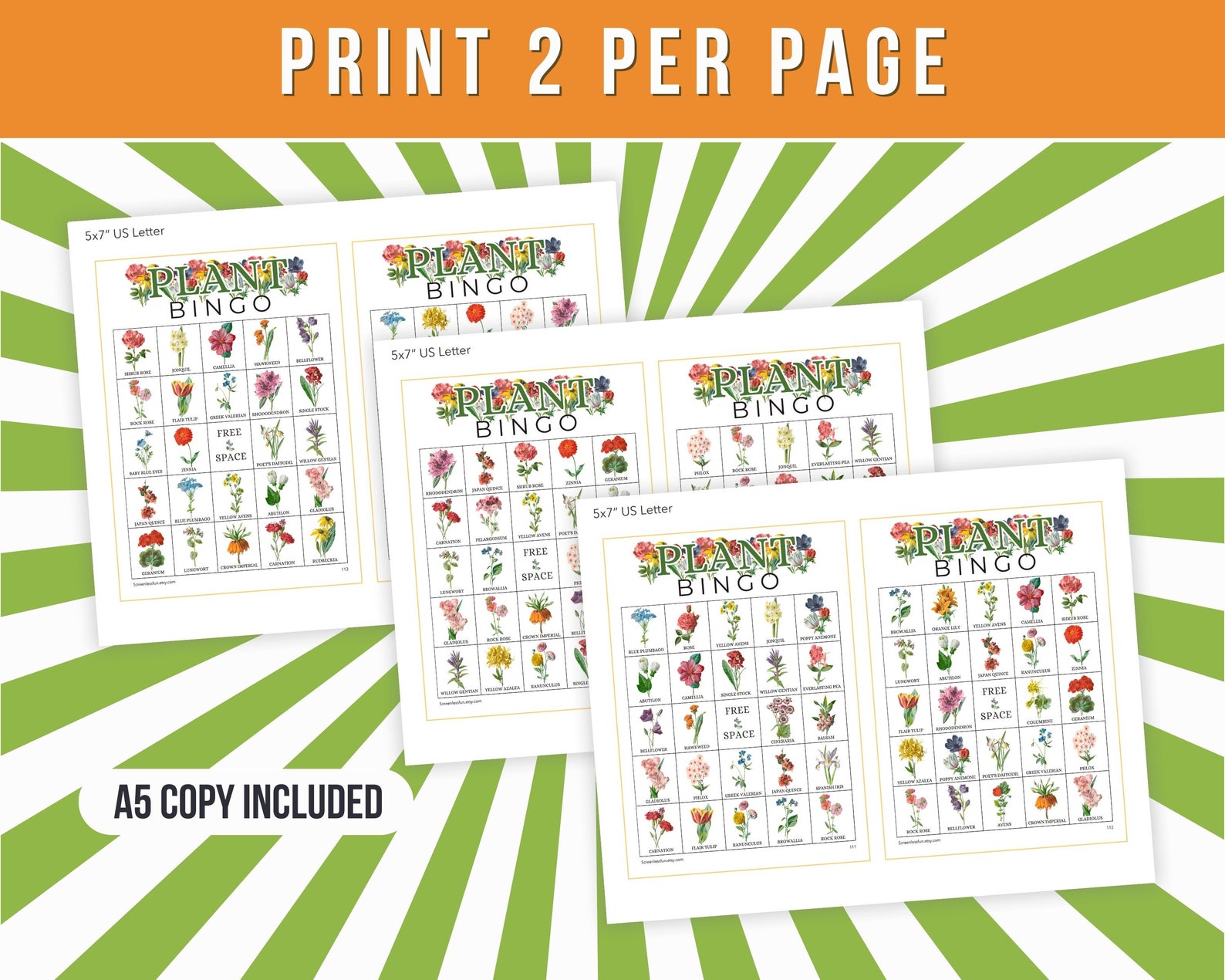 Plant Bingo Printable Cards, Botanical Flower Bingo Boards, Garden ...