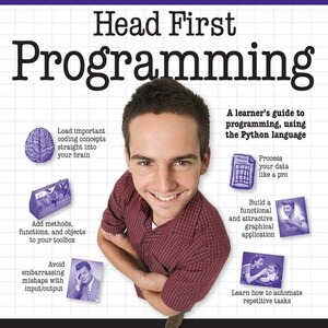 Head First Programming_ A Learners Guide to Programming Using the Python Language - Etsy