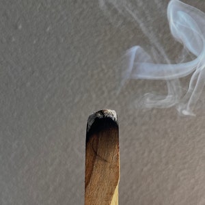 5 Palo Santo Sticks — Sacred Aromatic Wood for Meditation & Healing - Etsy