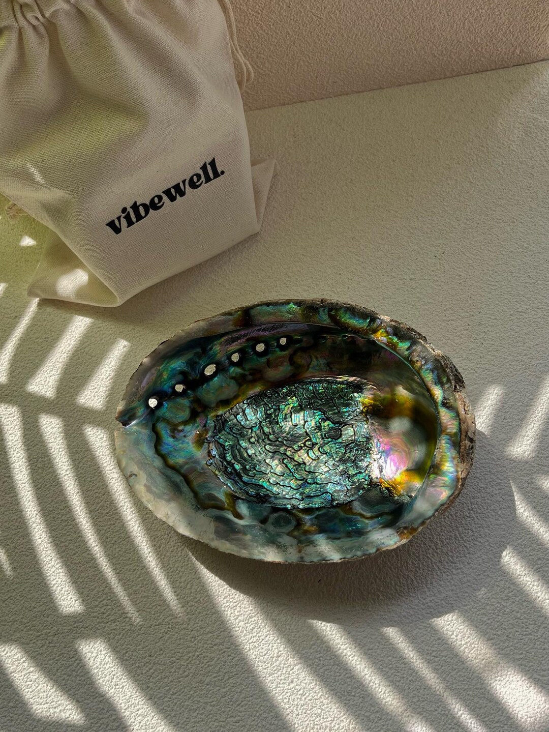 Handpicked Abalone Shell for Healing Rituals – Natural Elegance ...