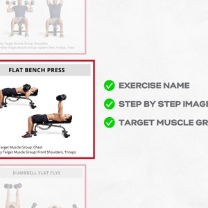 Exercise Workout Template, Gym Fitness Library Guide, Manual, Ebook ...