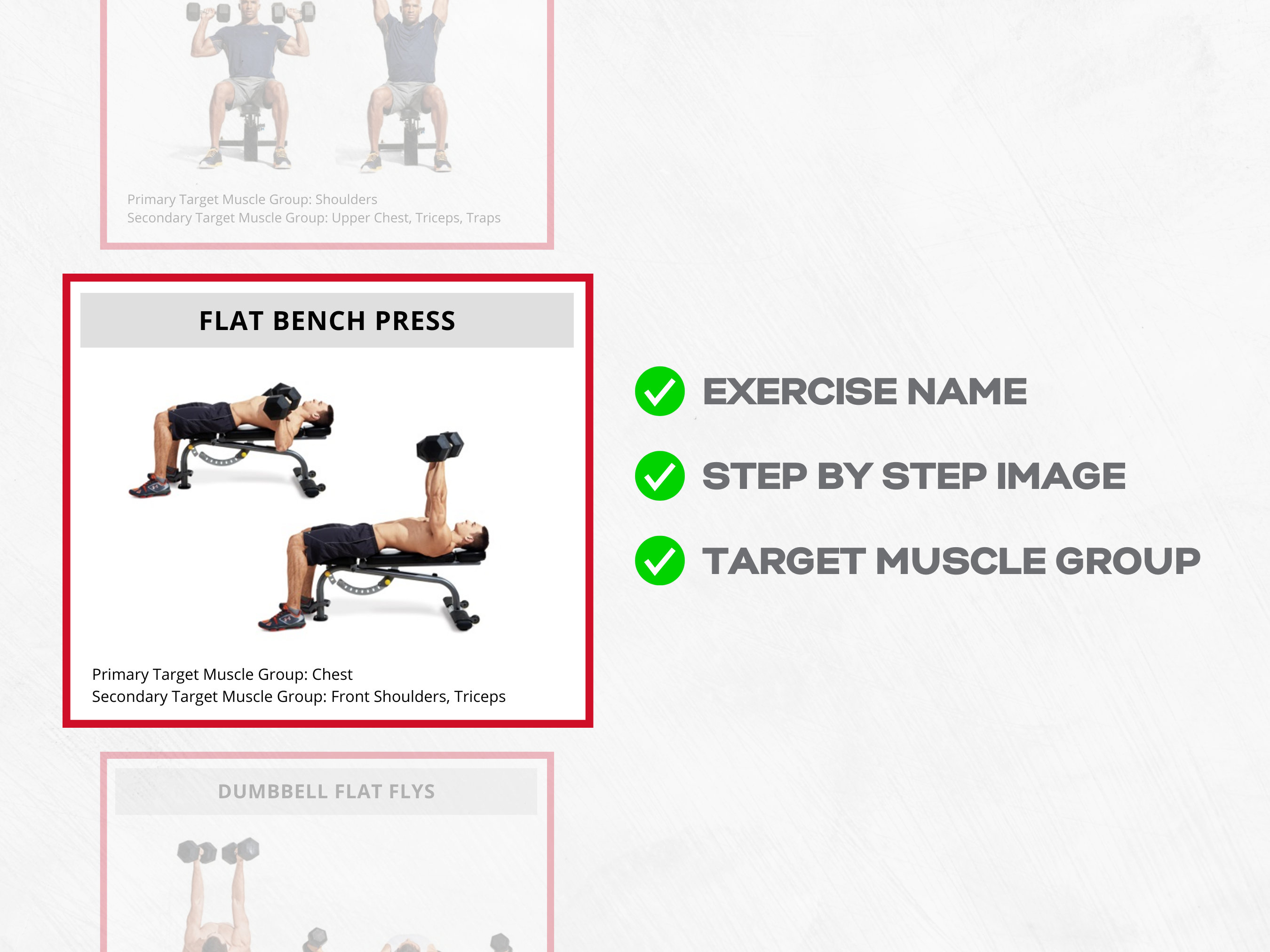 Exercise Workout Template, Gym Fitness Library Guide, Manual, Ebook ...