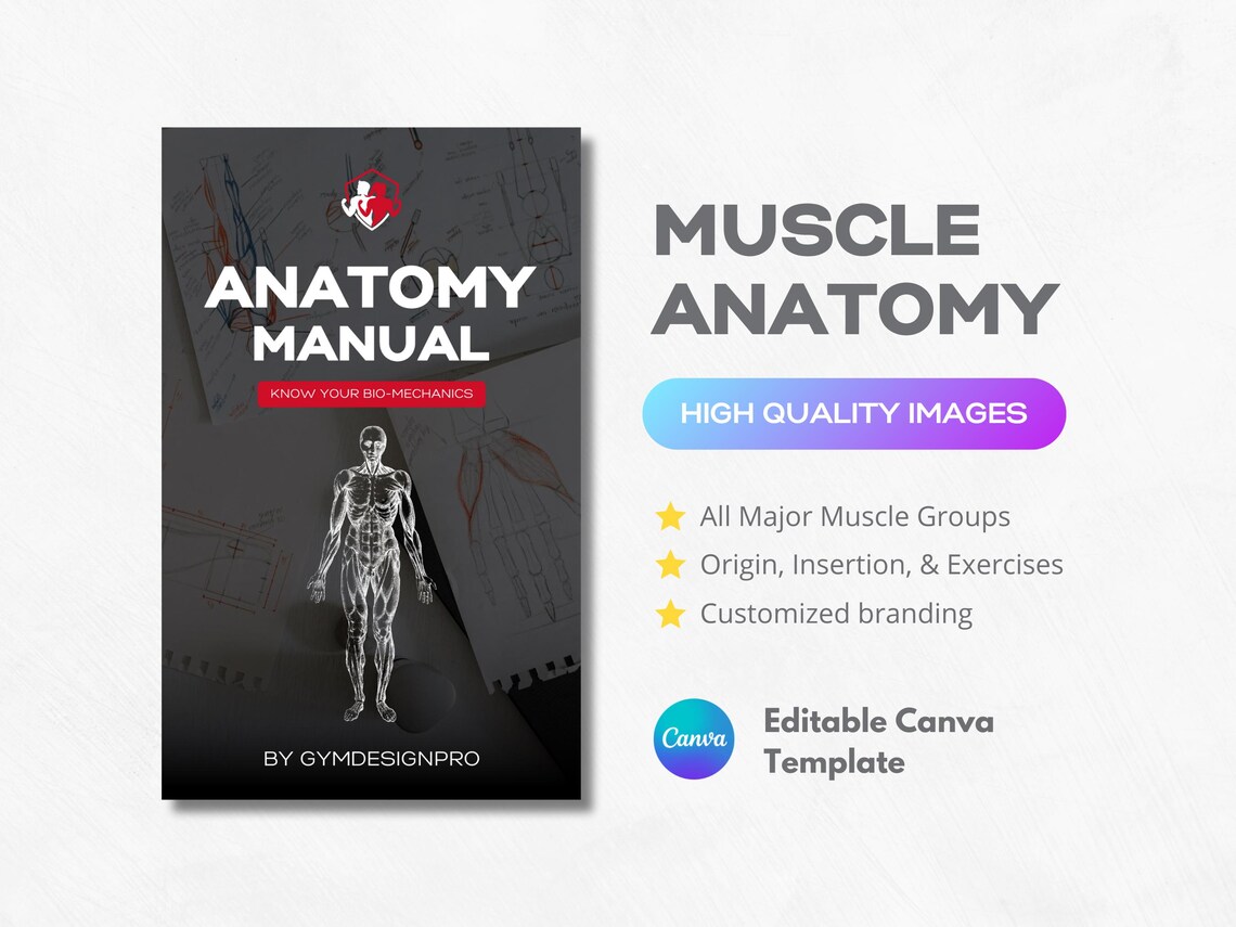 Human Anatomy Template, Muscle Groups Library Guide, Human Body ...