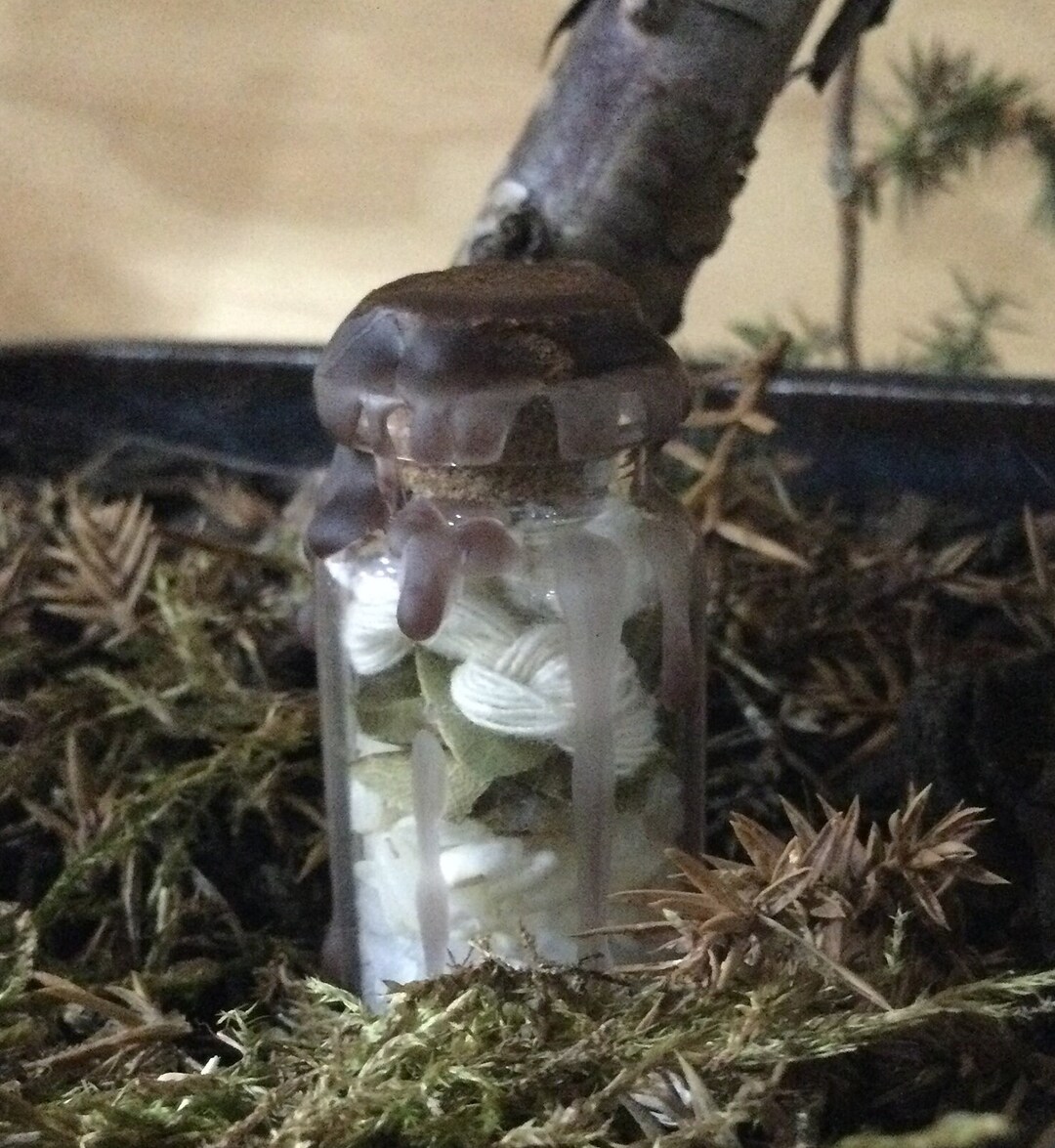 Good Luck Witchcraft Potion Spell Jar - Etsy