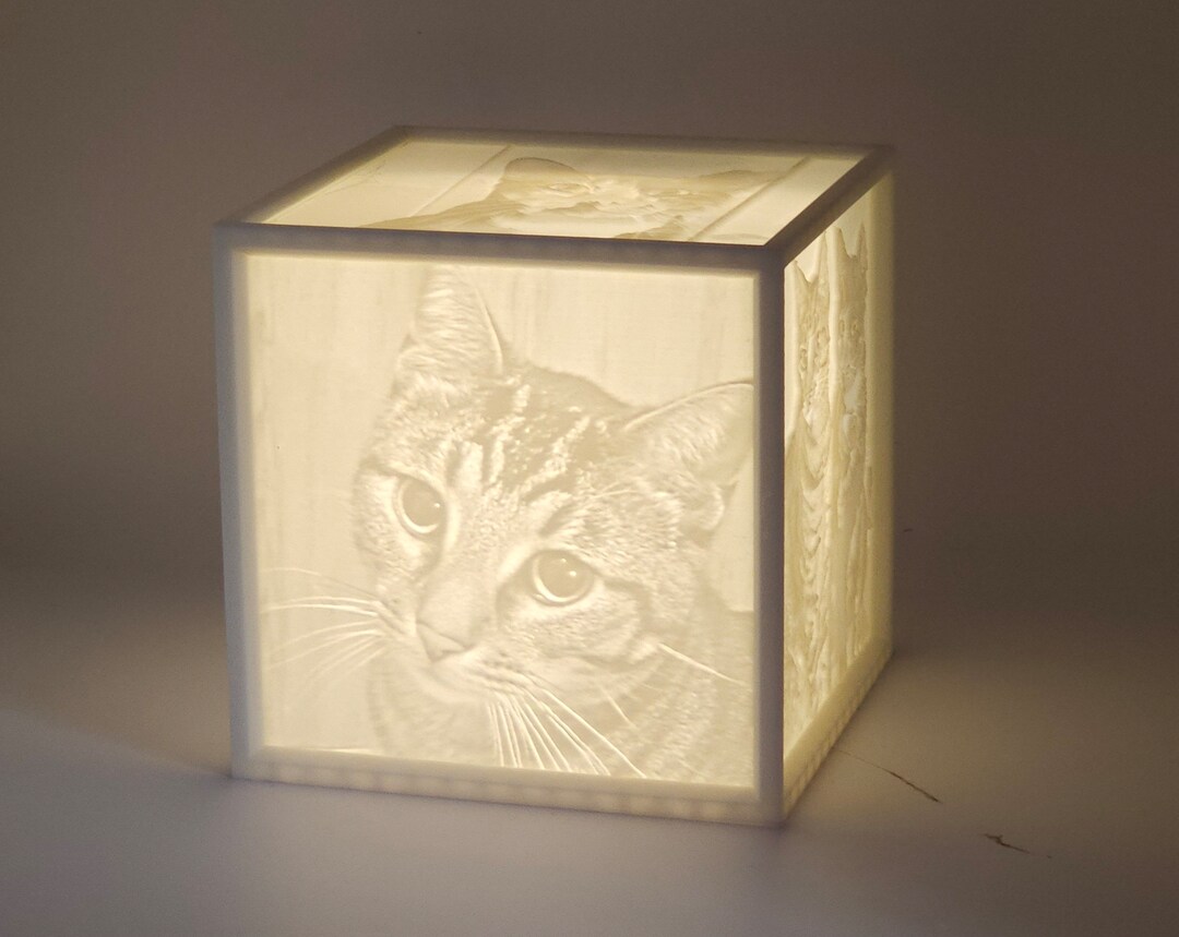 Custom 3D Printed Lithophane Night Lights - Etsy