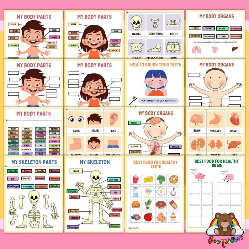 Human Anatomy Busy Book PRINTABLE, Toddler Busy Book Page, Bodypart ...