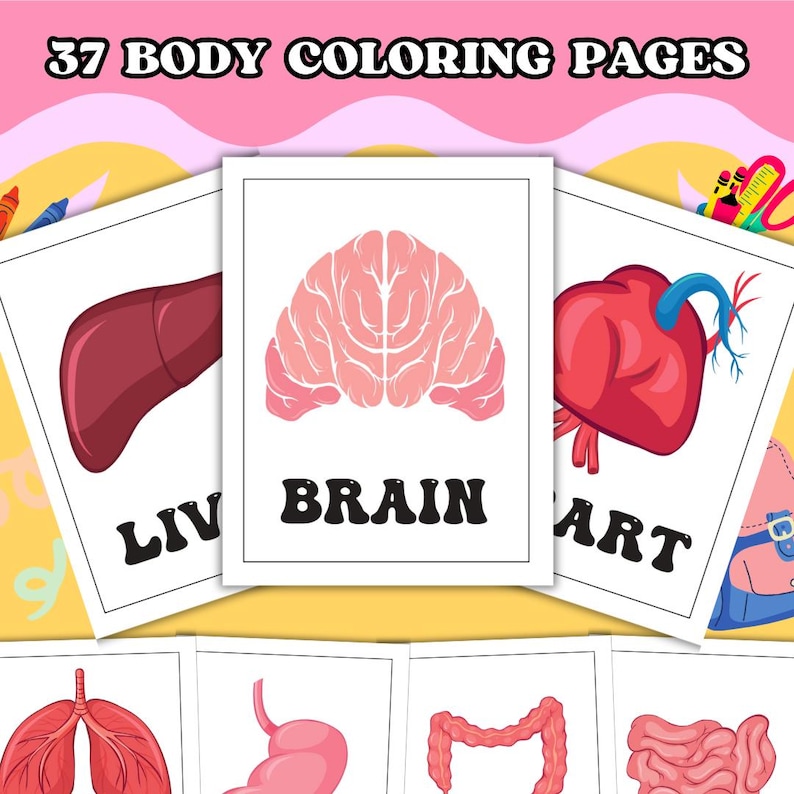 37 Body Part Coloring Pages, Toddler Workbook, Learning Binder ...