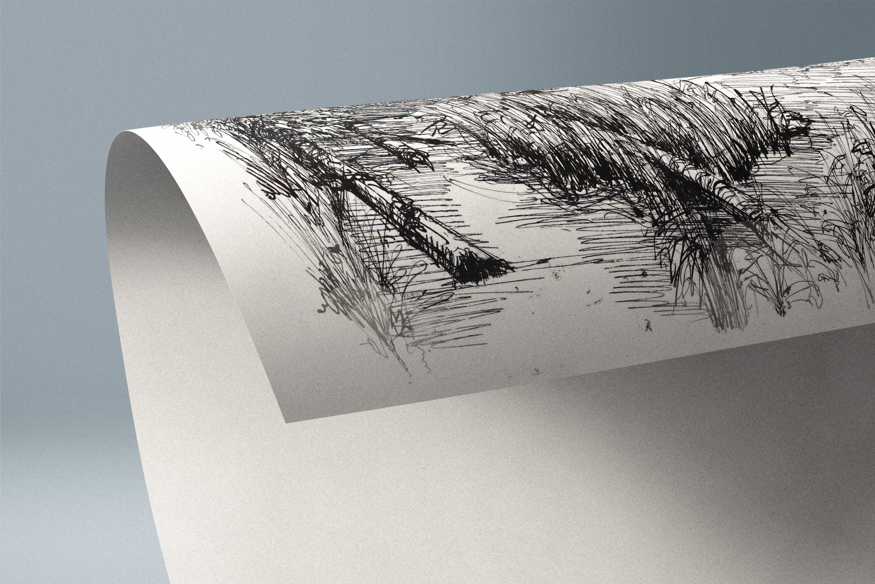 ROCKY MOUNTAIN National Park ESTES Park, Colorado, Boulder, Line ...