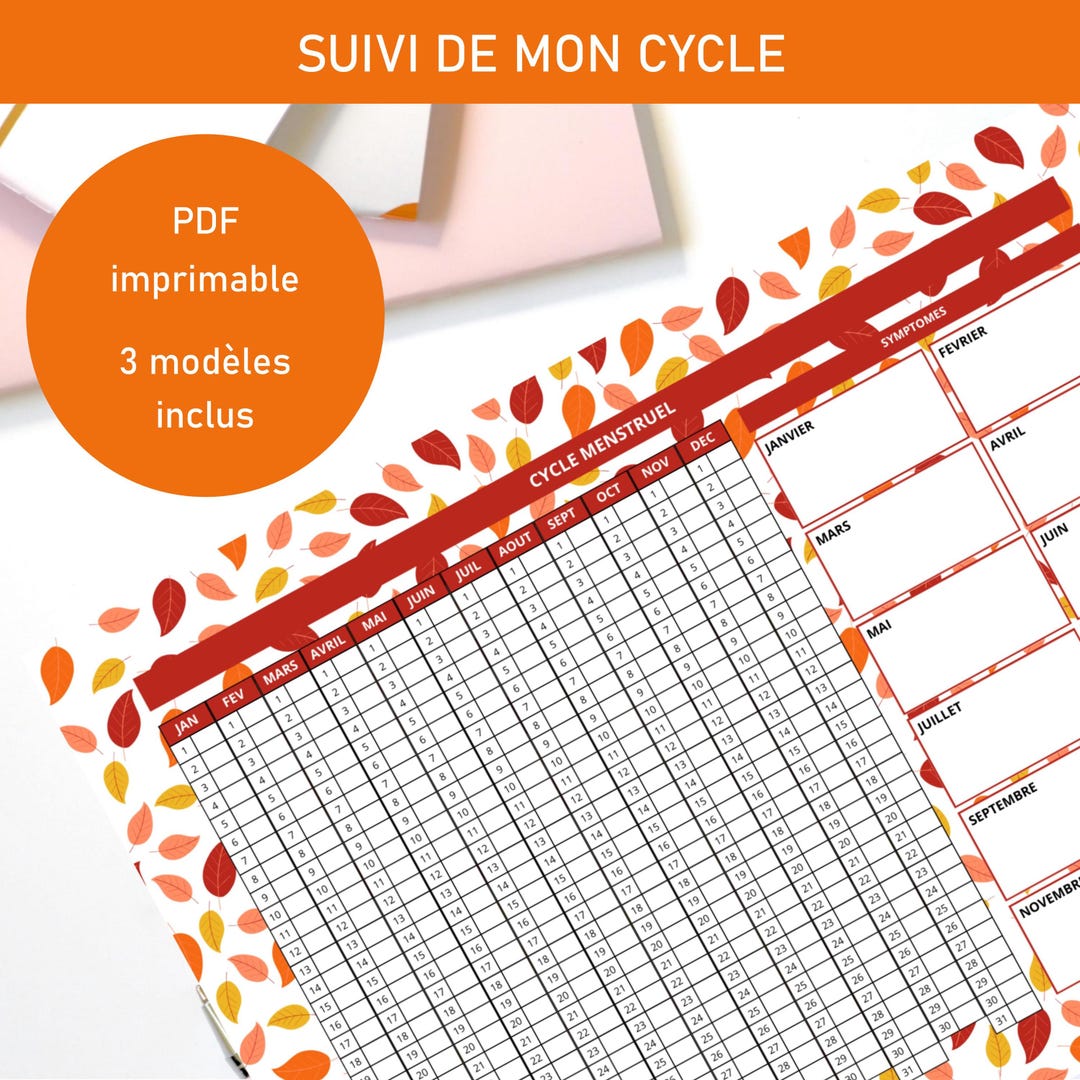Fiches de suivi de cycle menstruel - 3 modèles colorés imprimables ...
