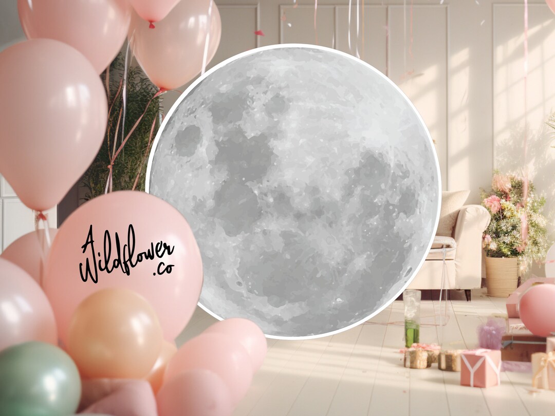 Large Moon Cutout, Resizeable Space Standee, Sky Party Decor, Grey Cake ...