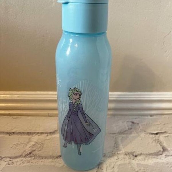 Frozen Water Bottle - Etsy