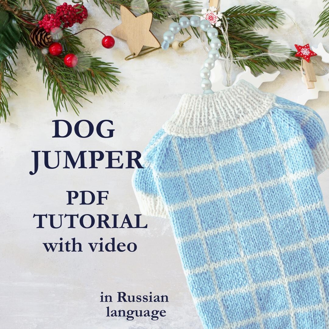 Dog Sweater Knitting Pattern: Small Dog Tutorial (PDF) - Etsy