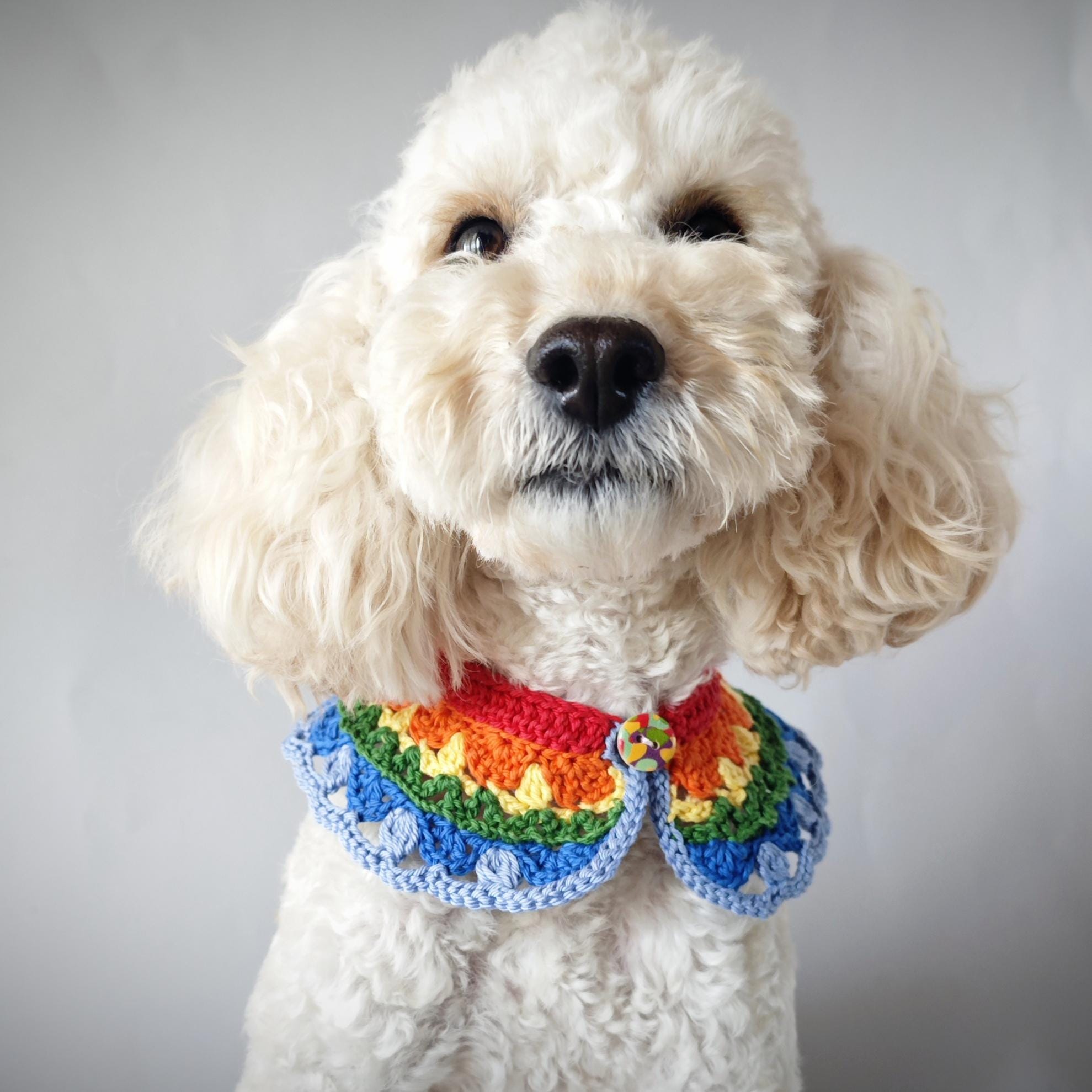 Crochet Dog Collar Pattern: Scalloped Edge, Fits Any Size (PDF Download ...
