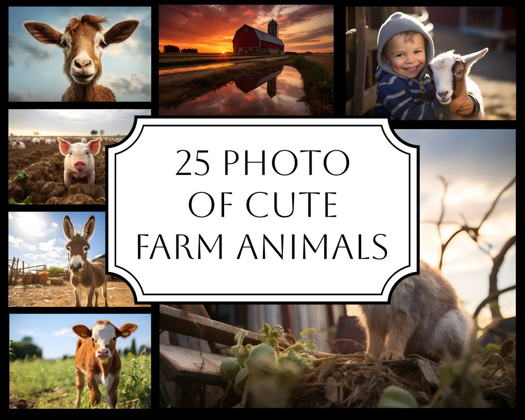 Set of 25 Cute Farm Animals Photos, Digital Country Backdrop, Animals ...