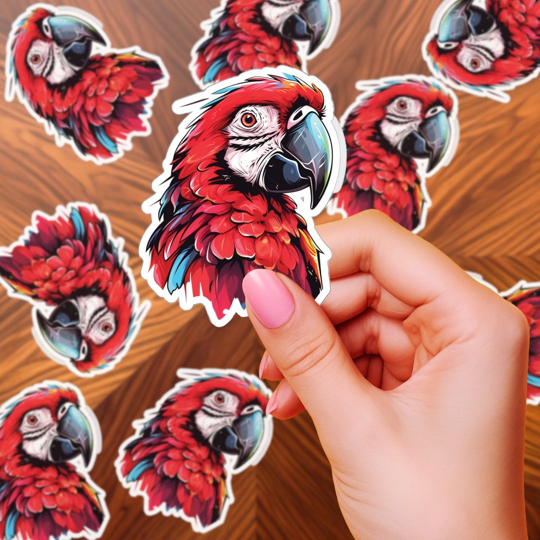 Red Macaw Sticker | Brazilian Macaw Decal | Cute Scarlet Bird | Crimson ...